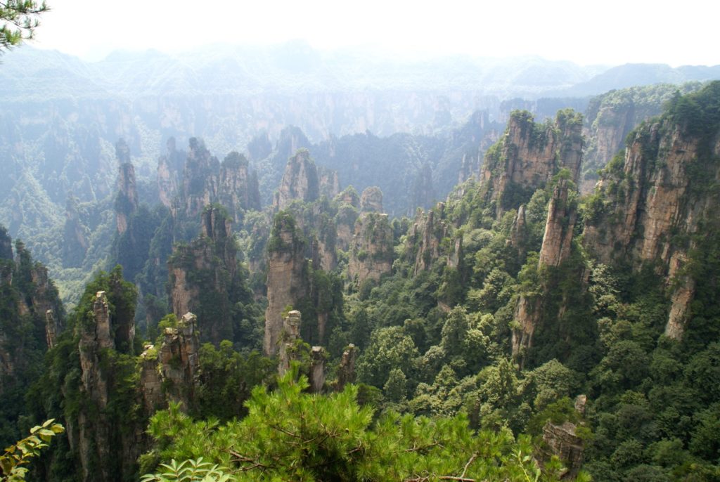 Exploring Zhangjiajie National Forest Park – Go Live Young