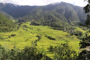 Exploring the Punakha Valley – Go Live Young
